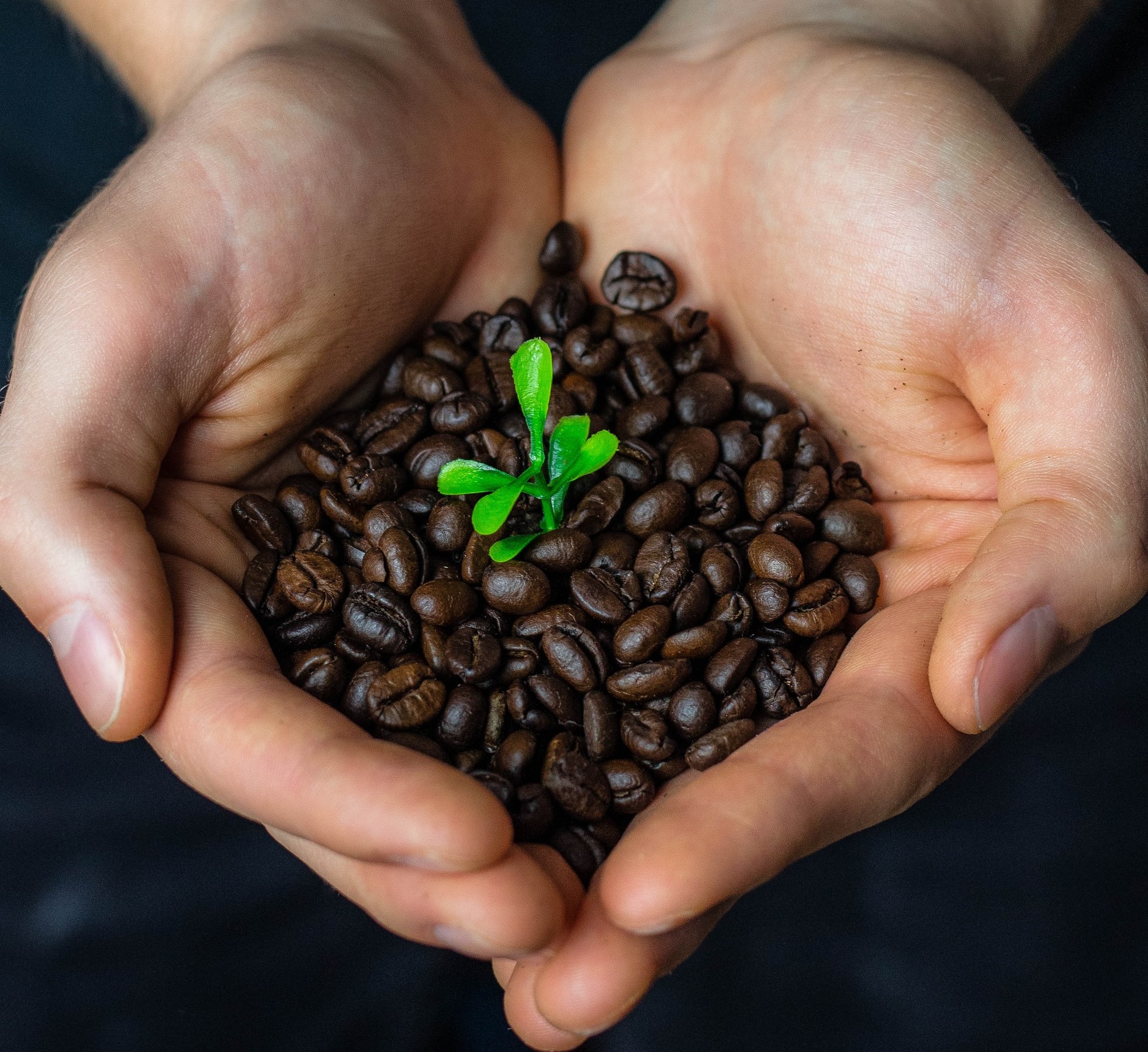 Saving Coffee From Climate Change- Espresso@Home Blog